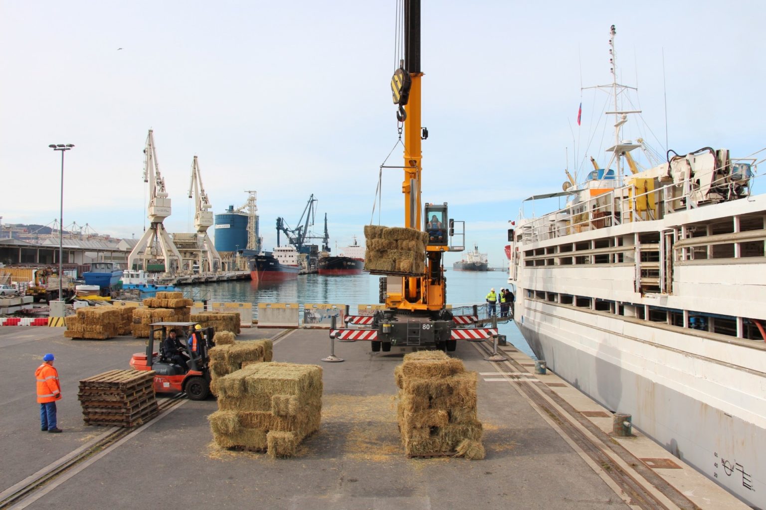 Livestock Terminal - Luka Koper d.d.