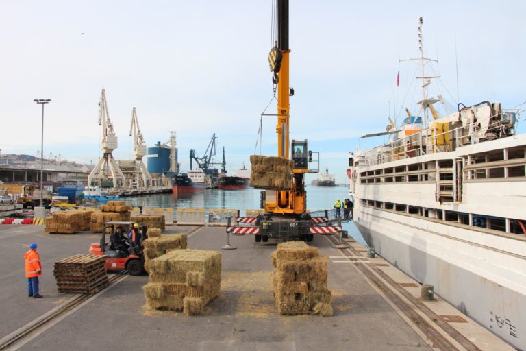 Terminal za živino - Luka Koper d.d.